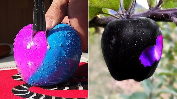 Fruits Rares Au Monde