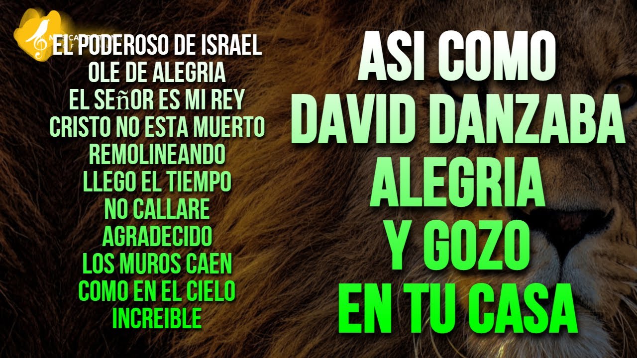 ASI COMO DAVID DANZABA 🎊 ALABANZAS QUE TRAEN ALEGRIA Y GOZO A TU CASA 🎊 ...