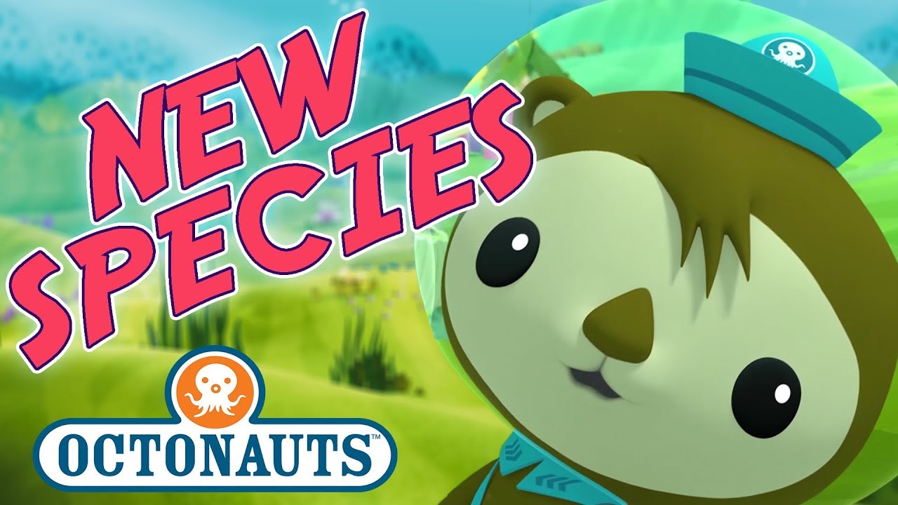 Octonauts - Discovering Species | Cartoons for Kids | Underwater Sea ...