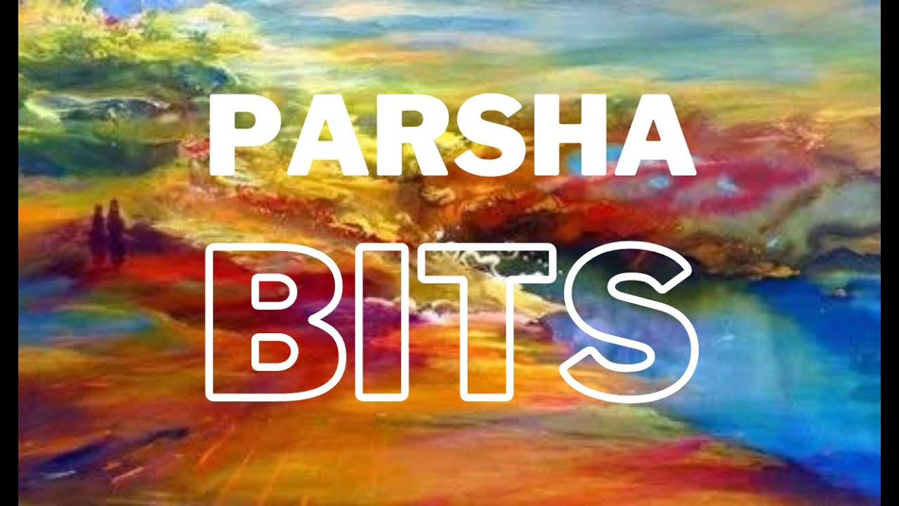 Parsha Bits: Lech Lecha 3 - YouTube