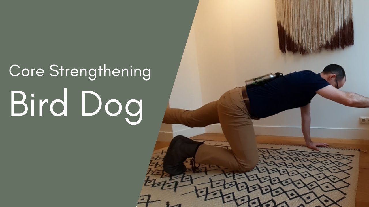 Core Strengthening: Bird Dog - YouTube