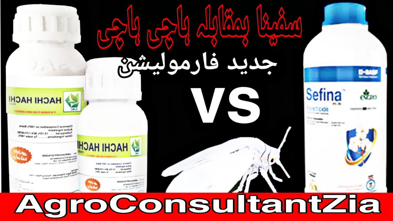 White Fly Control | SEFINA | INSCALIS | Hachi Hachi | Tolfenpyrad ...