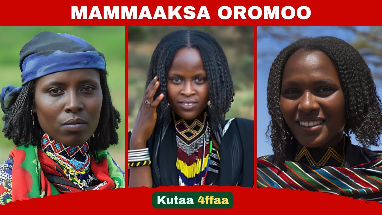 Mammaaksota Afaan Oromoo | Kutaa 4ffaa | @AfoolaAfaanOromoo - YouTube