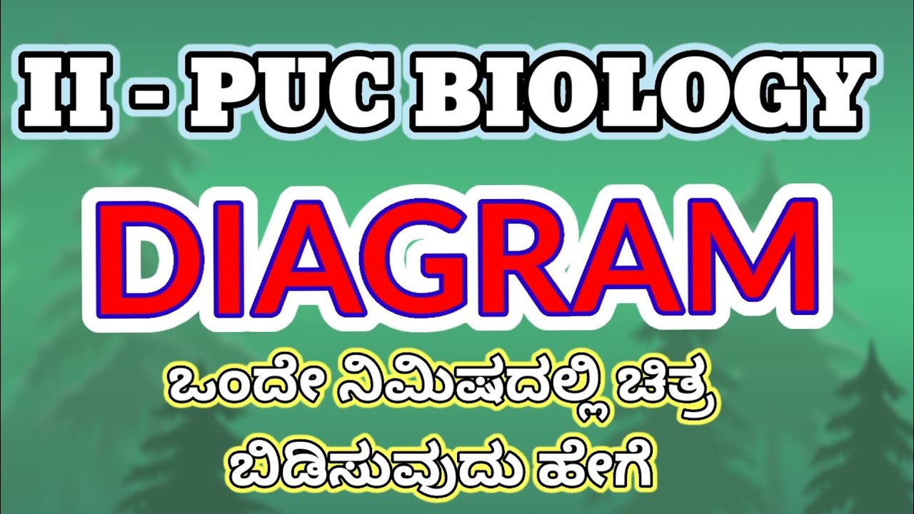 II PUC Biology Important Diagram - YouTube