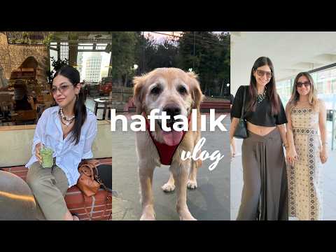 Weekly Vlog
