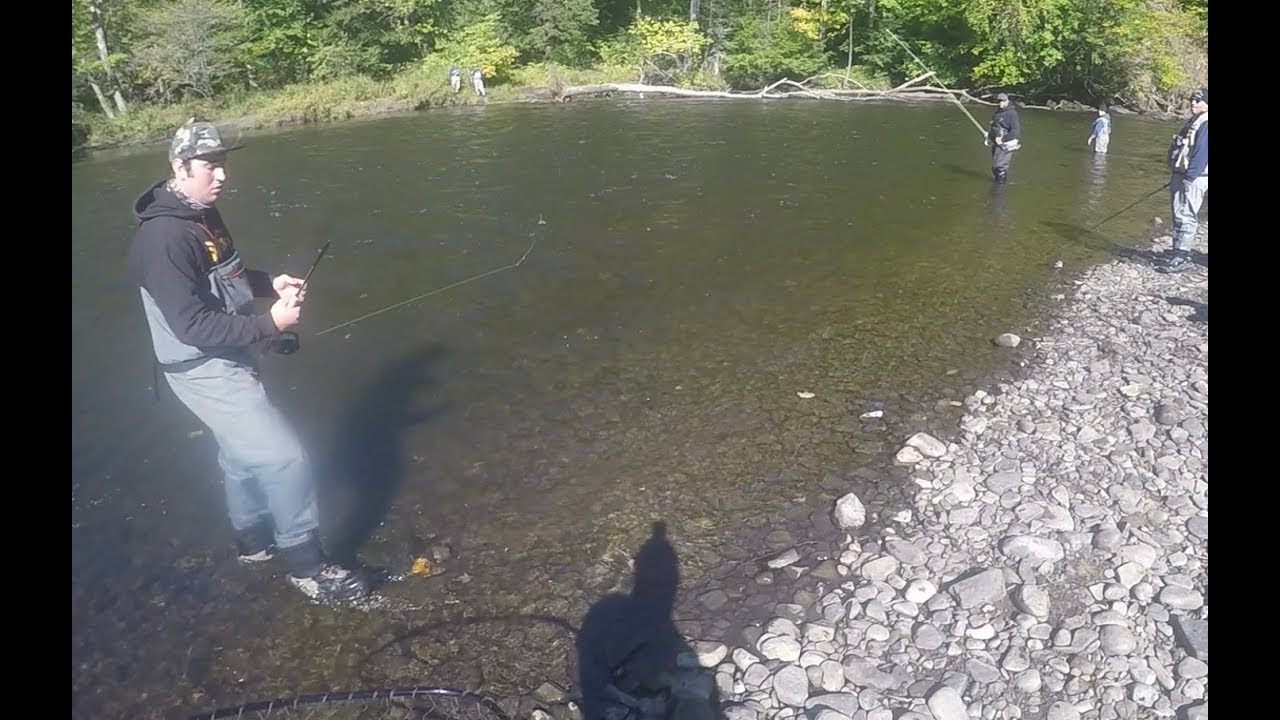 Salmon River Salmon Rod Breaker!! - YouTube