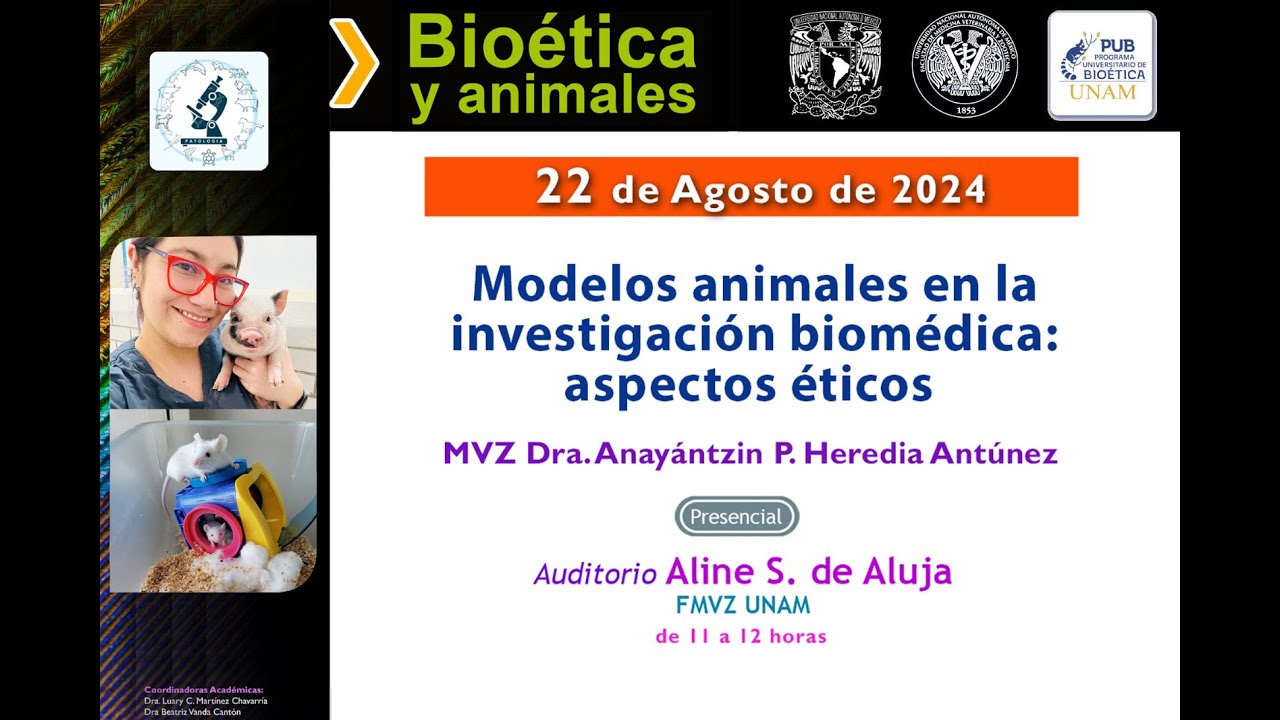 “Modelos animales en la investigación biomédica: aspectos éticos” - YouTube