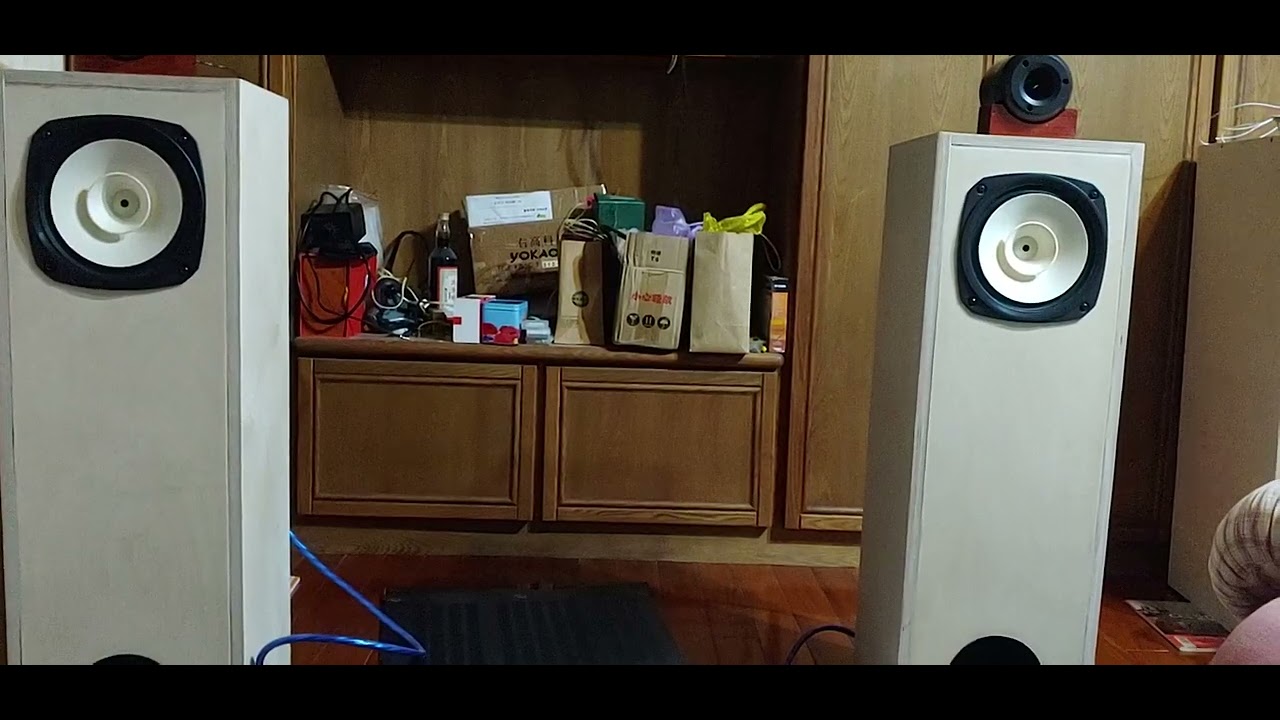 FOSTEX 206-NV double bass reflex - YouTube