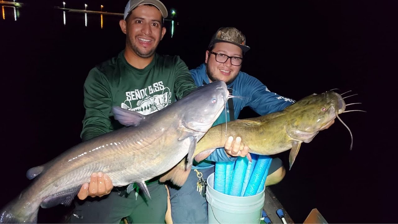 Pesca de Bagres Gigantes Por La Noche - YouTube