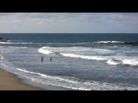 Surfing in Golondrinas Isabela Puerto Rico - YouTube