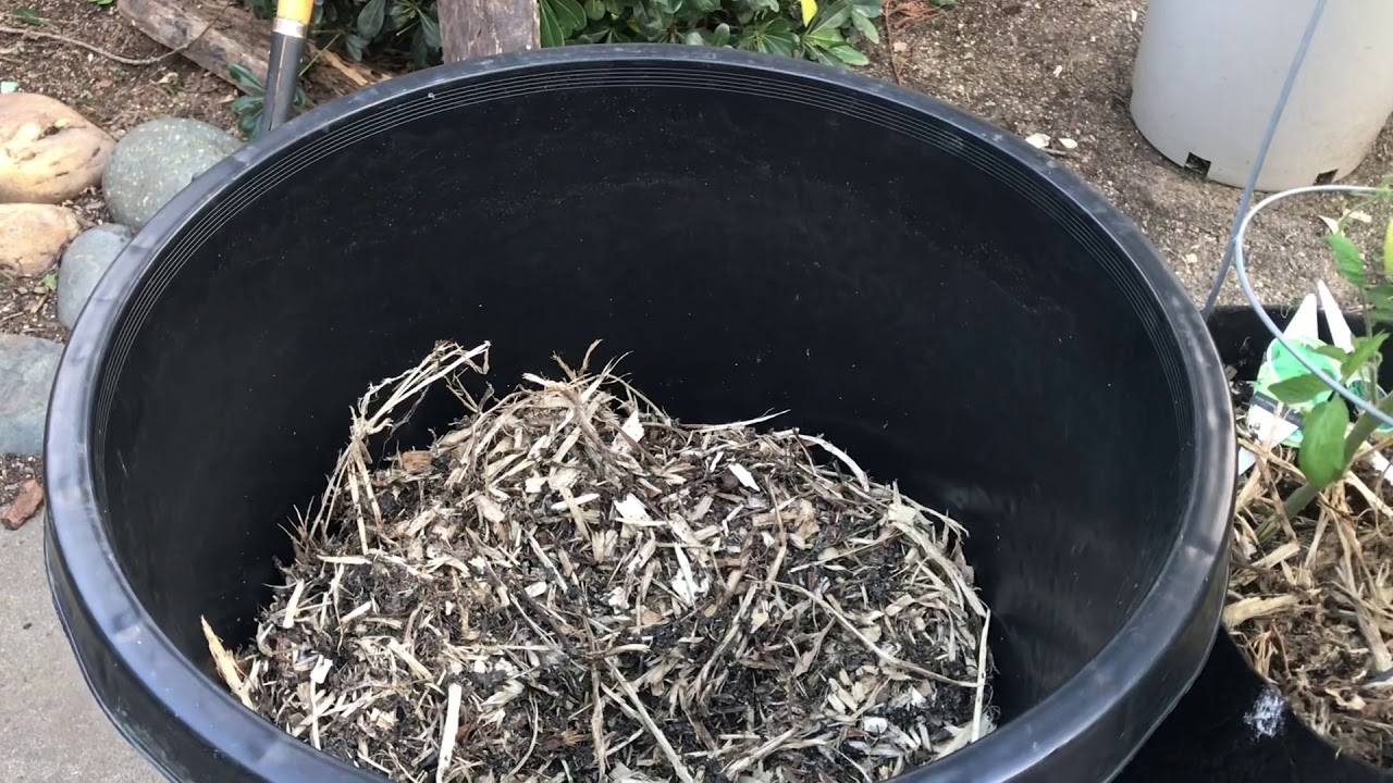 Composting in place - YouTube