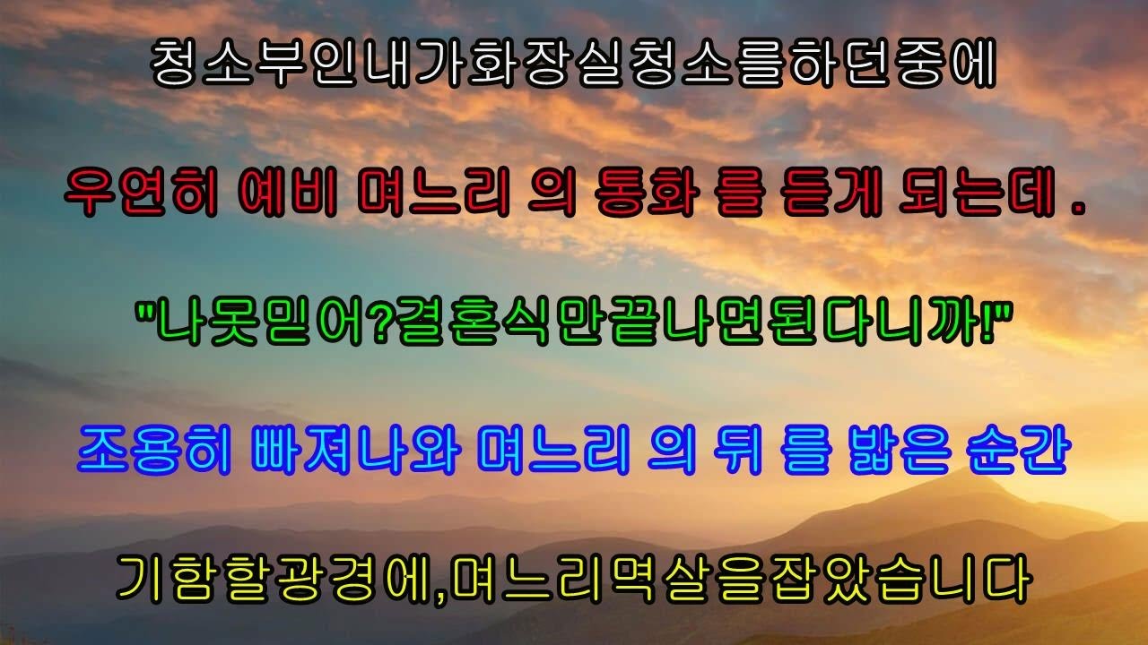 실화사연 청소부인 내가 화장실청소를 하던중에우연히 예비며느리의 통화를 듣게 되는데나 못믿어 결혼식만 끝나면 된다니까
