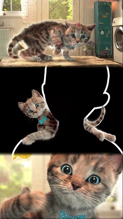 SONGS LITTLE KITTEN ADVENTURE - FUNNY CAT AND CARTOON ANIMATIONS CUTE KITTEN #shorts - YouTube