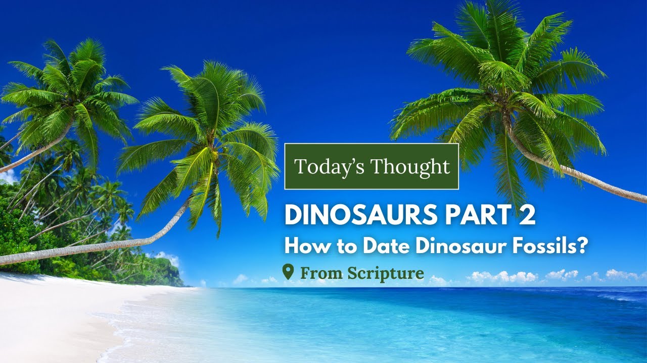 Today's Thought: How to Date Dinosaur Fossils? Bible & Dinosaurs Part 2 ...