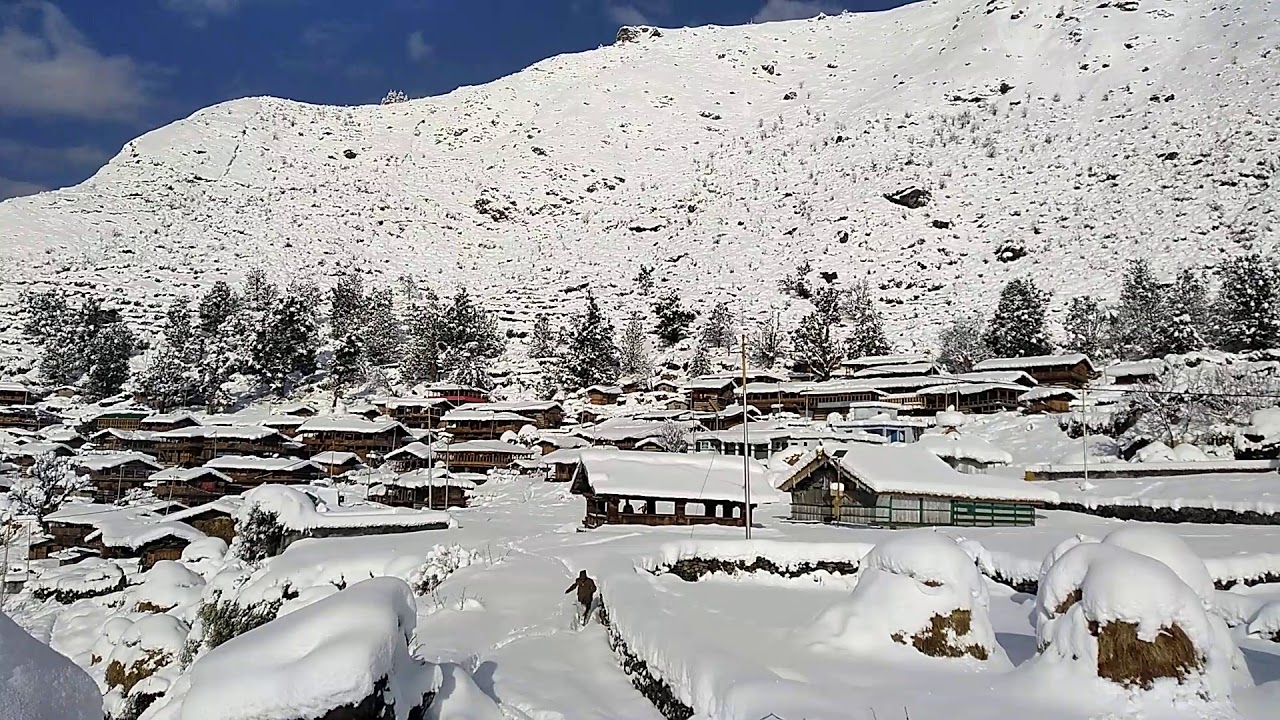 Fresh snow fall morning time - YouTube