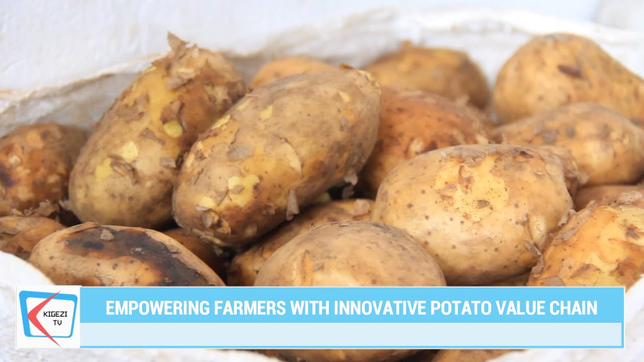 Agronomists, Farmer Trainers Equipped With Innovative Potato Value ...