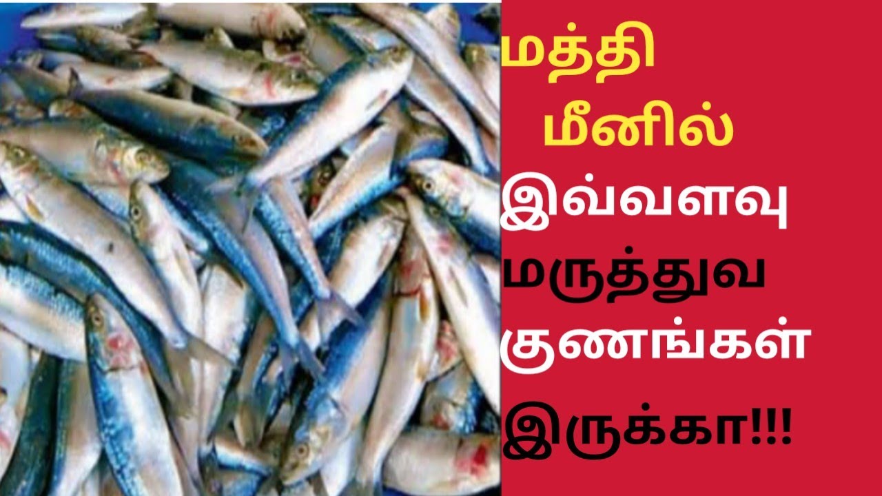 மத்தி மீனின் மருத்துவ பயன்கள்/Health Benefits of Mathi Fish/Sardine ...