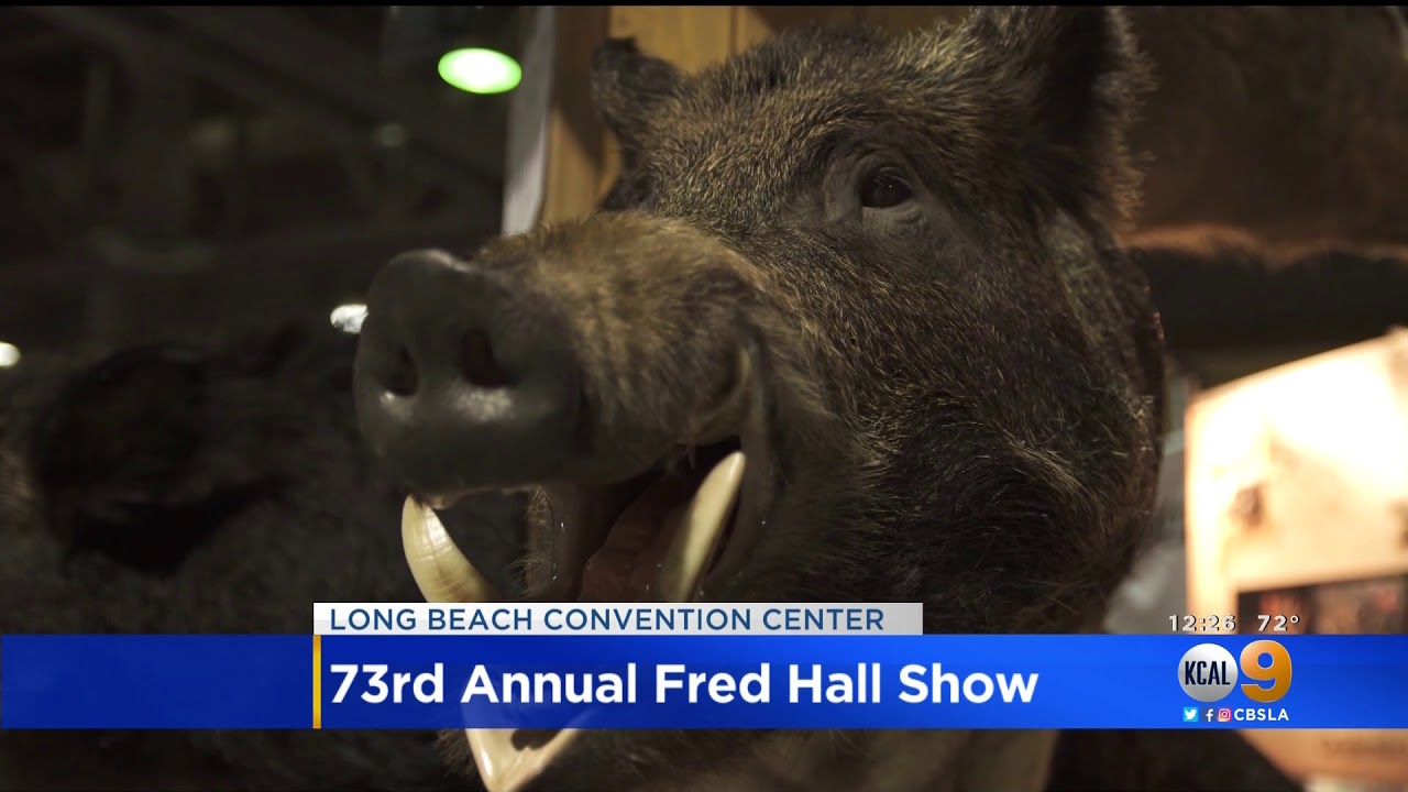 Fred Hall Show interview on KCAL 9 - YouTube