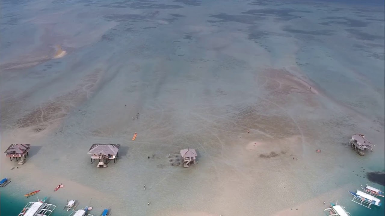 Freediving at Siquijor and Apo Island & Aerial Shots of Manjuyod Island ...