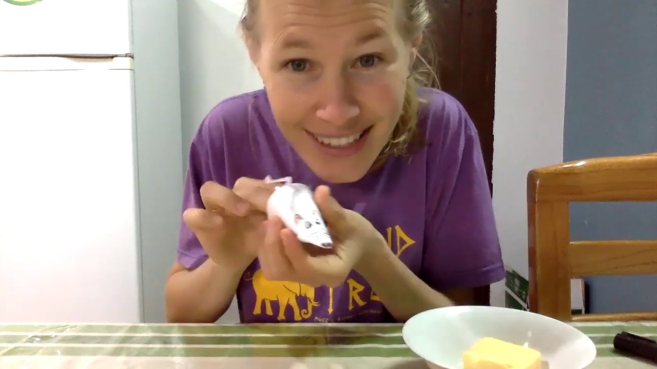 Where is the yummy cheese for the mouse? - Letter M - YouTube