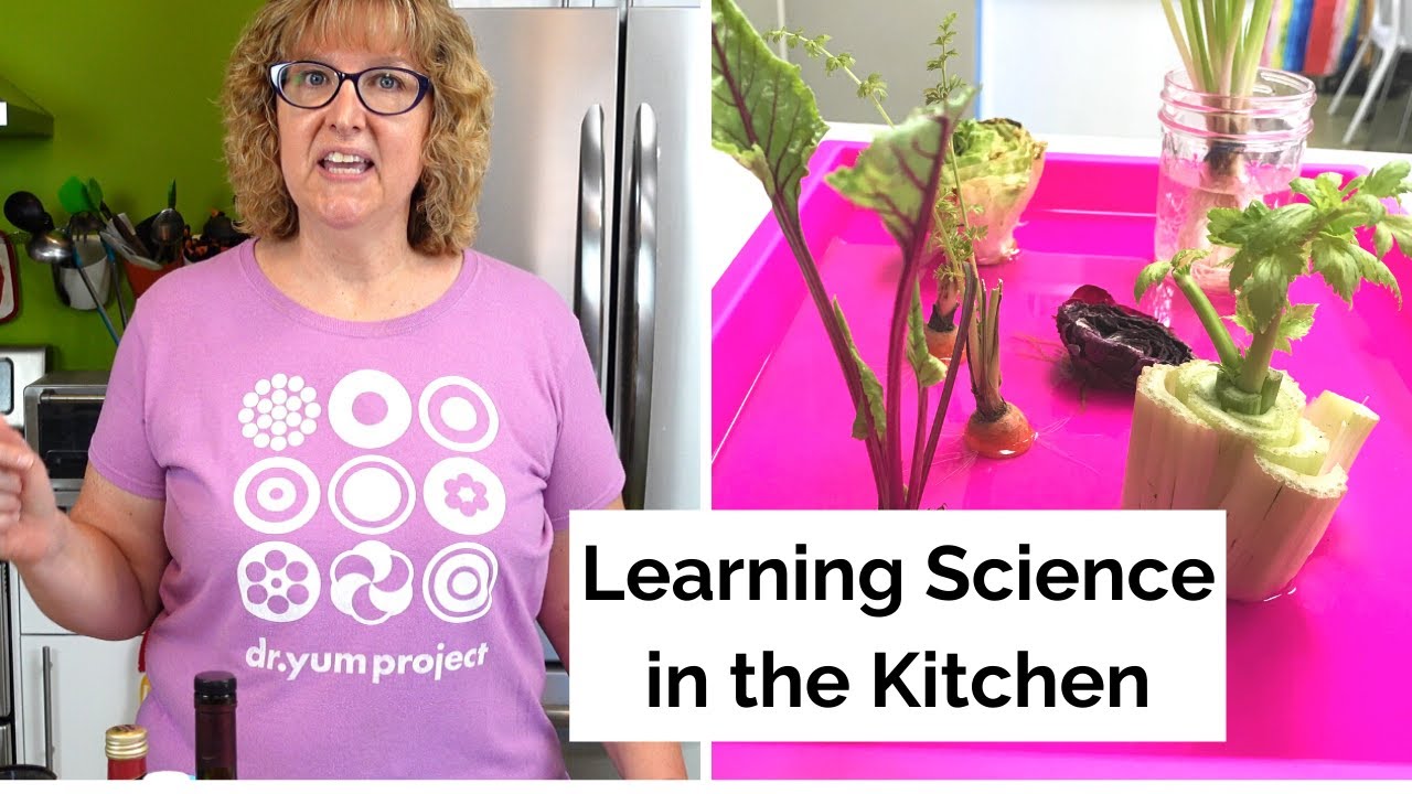 Science Lessons While Cooking - Activities for Schooling at Home | Dr ...