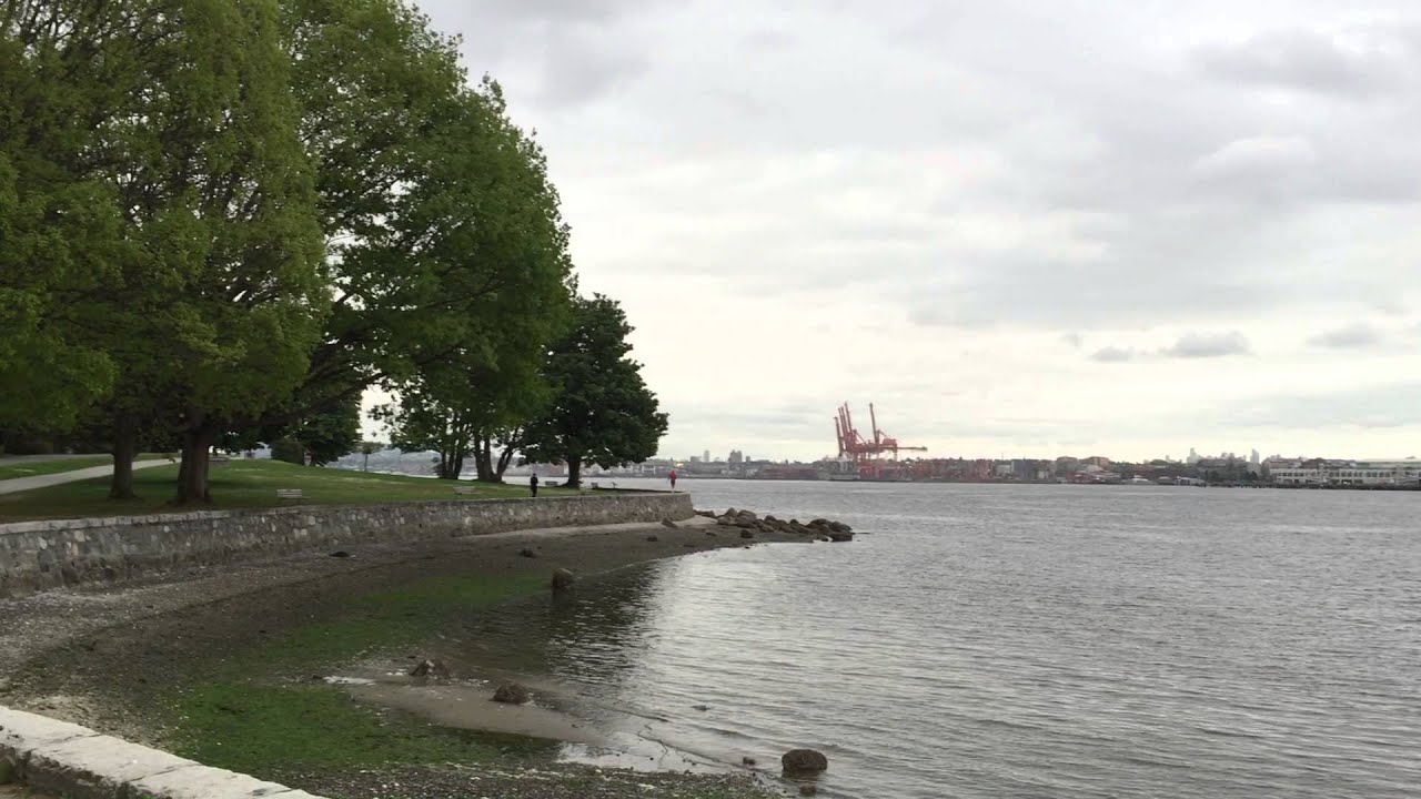 Staley Park View + Plane Landing + Runner - YouTube