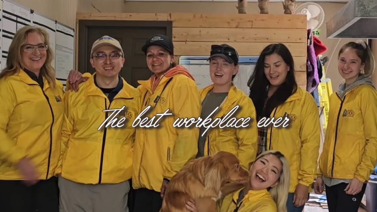 The BEST workplace ever - YouTube