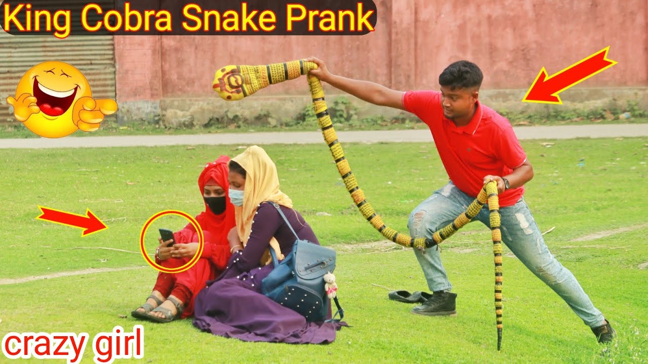 New Viral king cobra snake prank||Fake Snake Prank Video On Cute Girl ...