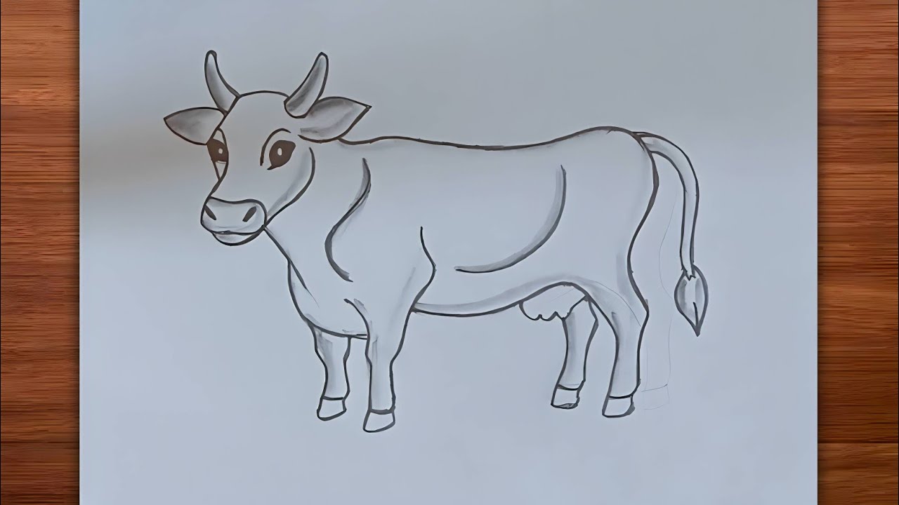 How to draw Cow / Step by Step || Easy cow drawing for beginners - YouTube