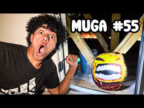 Find The Mugas: IN REAL LIFE