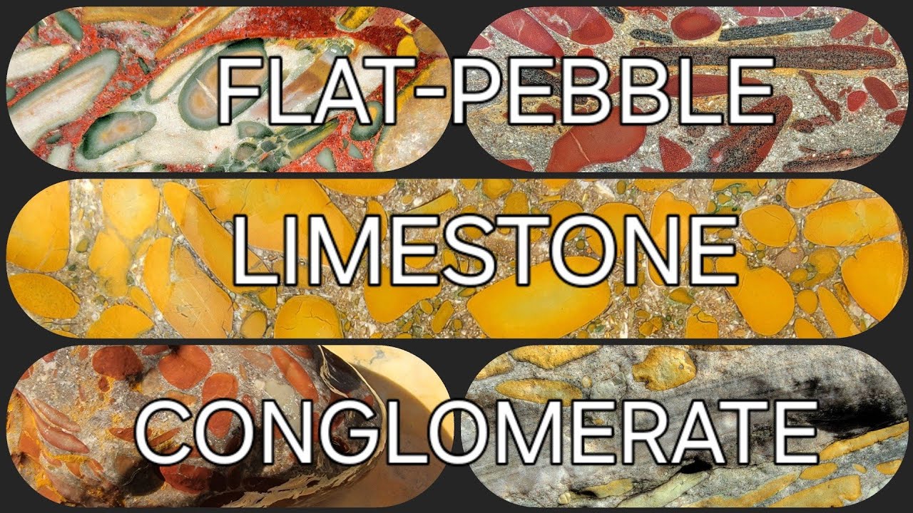 Flat Pebble Limestone / Conglomerate Educational Geology Discussion ...