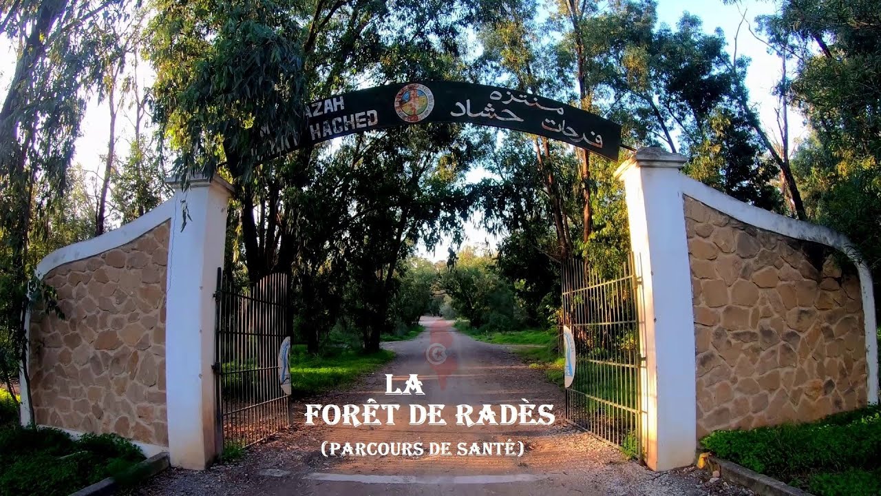 La forêt de Radès, parcourue du sud au nord - YouTube