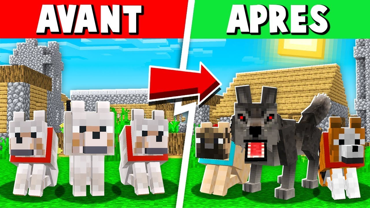 COMMENT AVOIR DES CHIENS RÉALISTES DANS MINECRAFT ! - YouTube