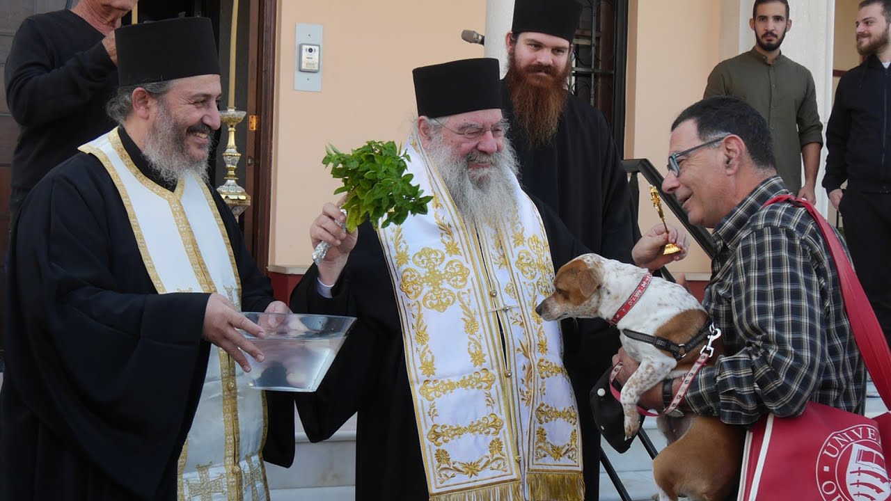Ο Μητροπολίτης Λεμεσού Αθανάσιος ευλόγησε τα ζώα - YouTube