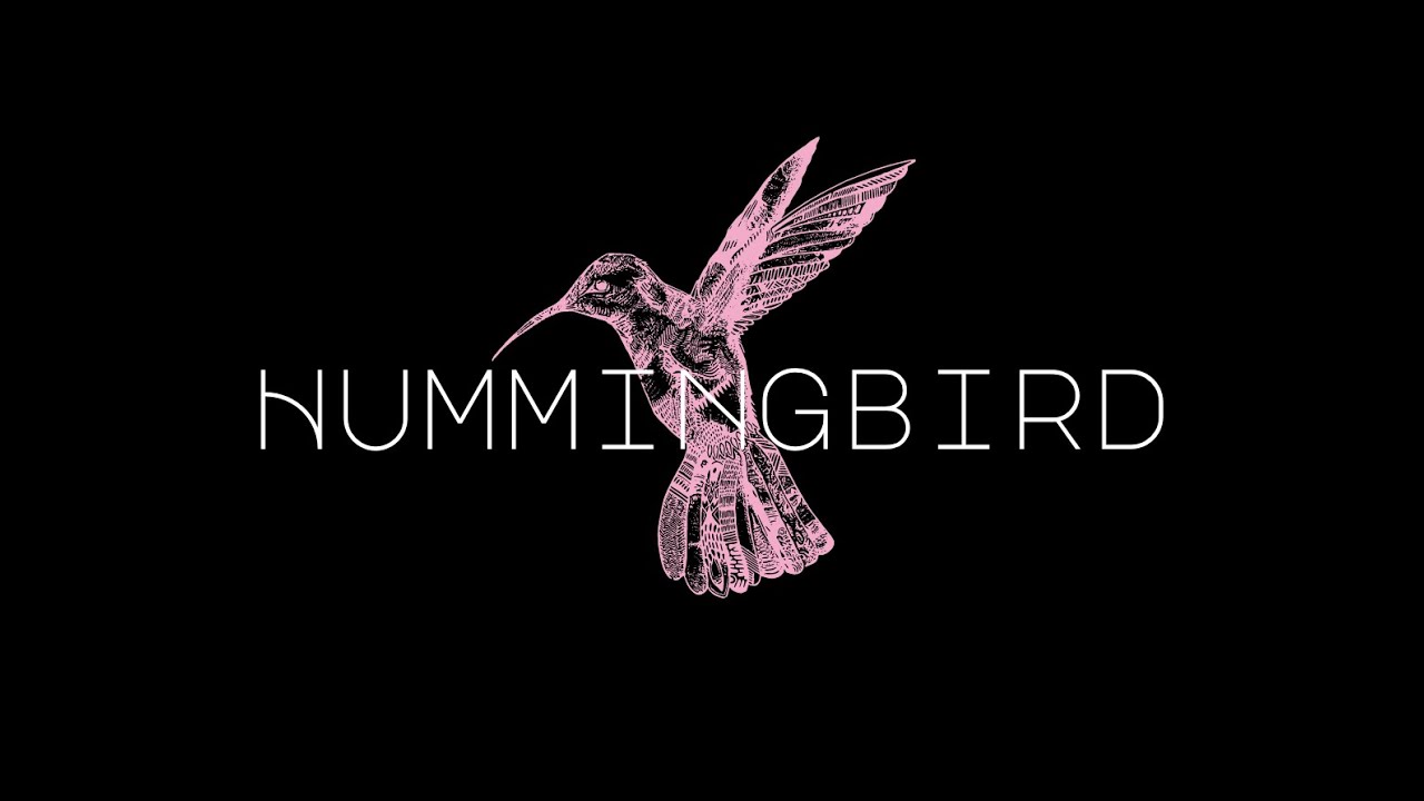 Hummingbird - A Short Film - YouTube