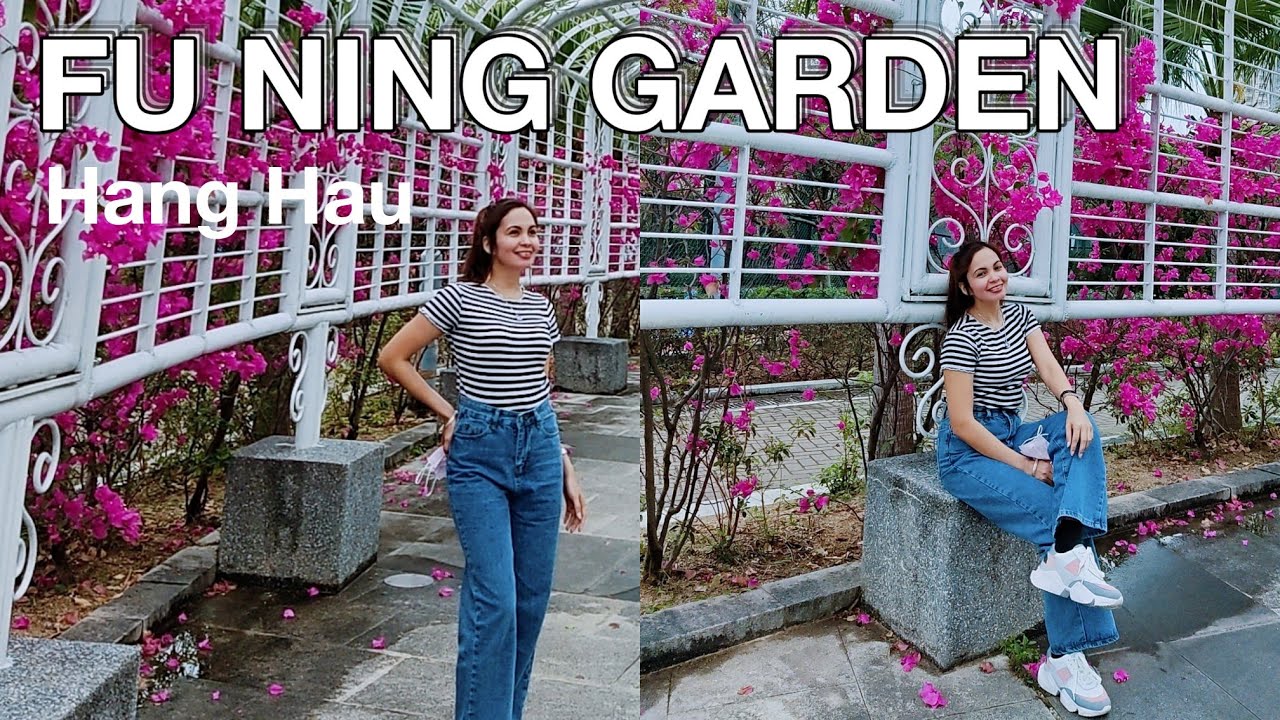 PINK BOUGAINVILLEA,FU NING GARDEN,HANG HAU,Hong Kong - YouTube