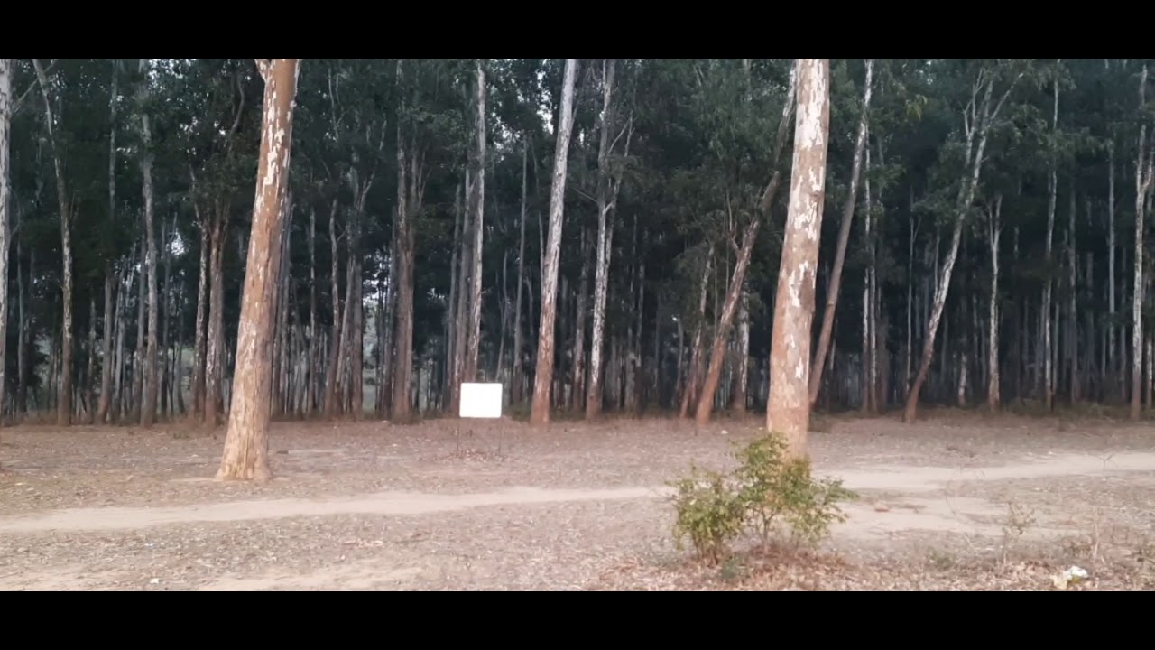 River Beas,Dehra Gopipur, Kangra, Himachal Pradesh - YouTube