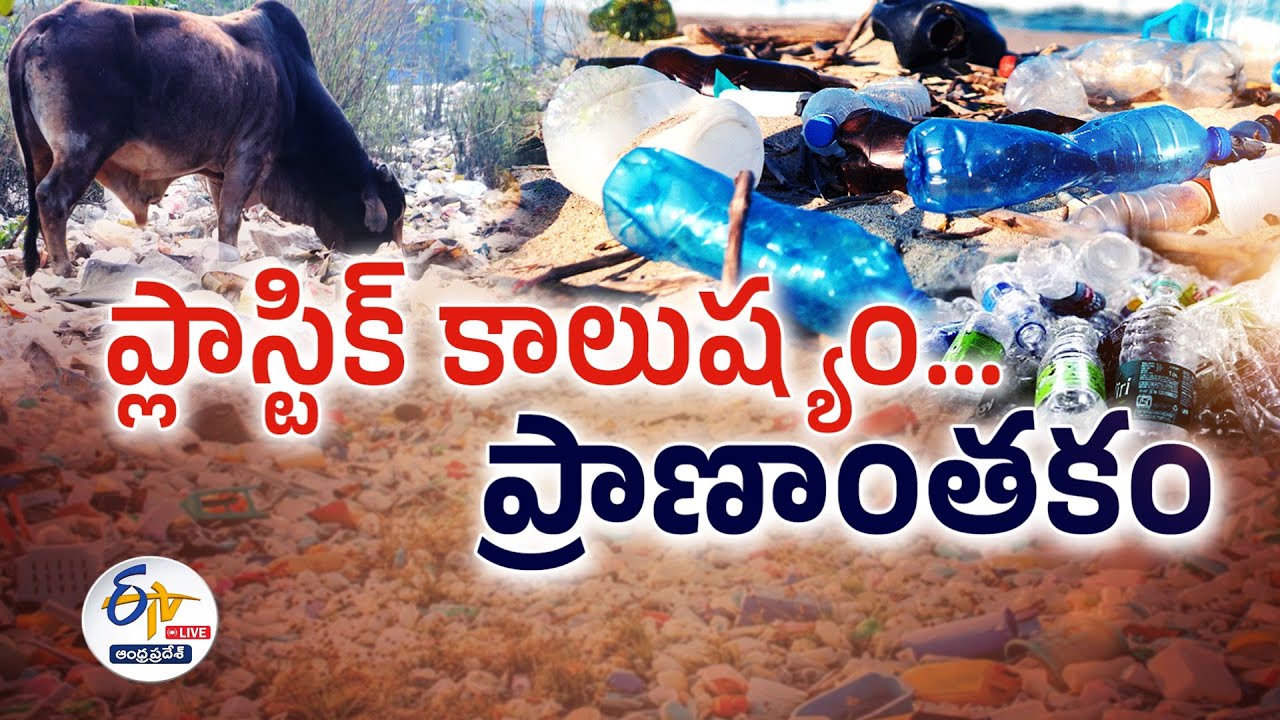 Plastic Pollution | How to Control & What Measures Taken to Prevent it ...