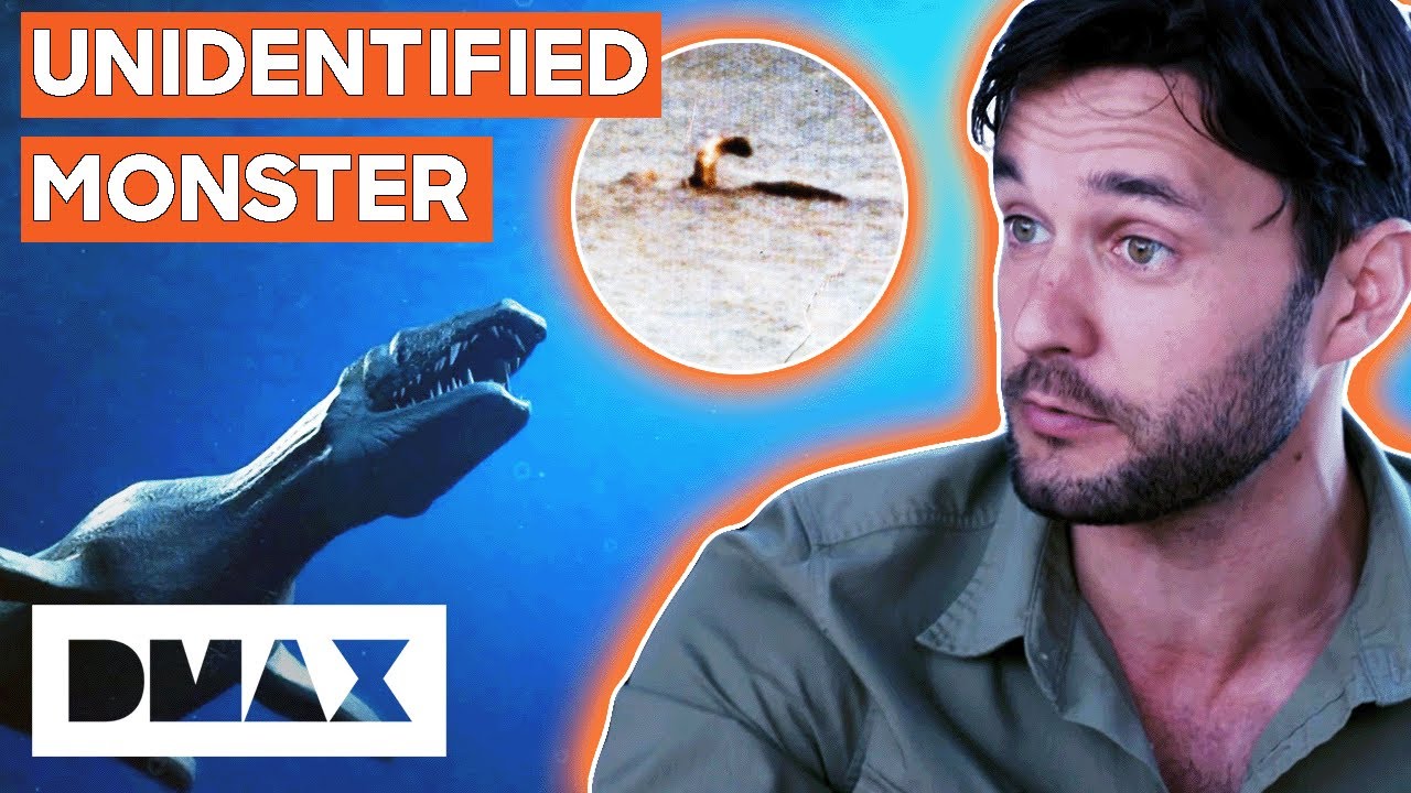 Evidence Of Legendary Lake Monster Found In Lake Champlain | Expedition ...