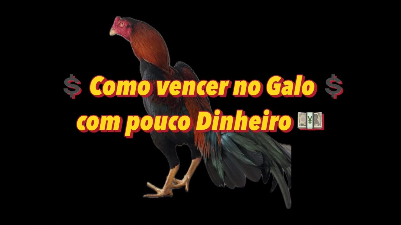 💲 Como vencer no Galo com pouquíssimo dinheiro 💴 💰 💲 - YouTube
