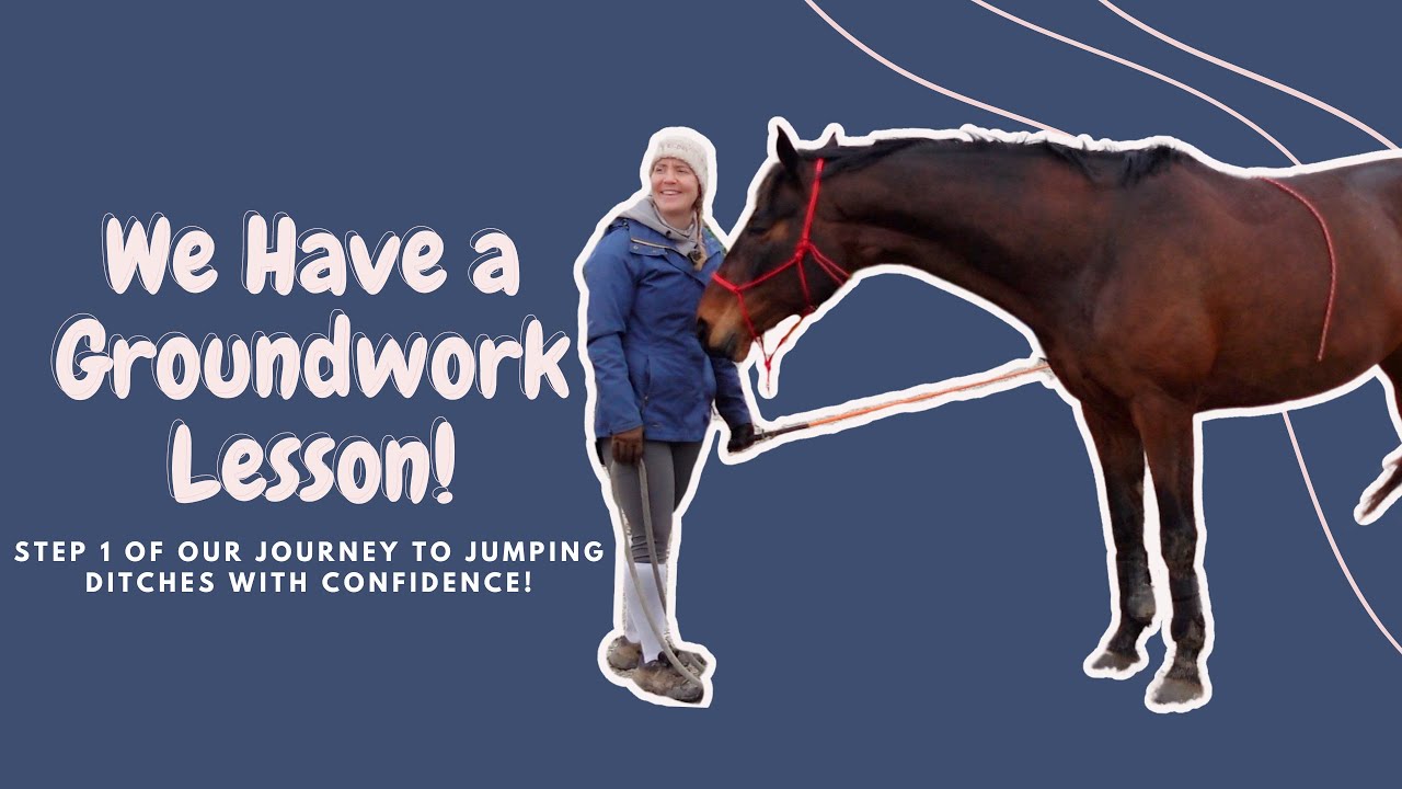 Learning The Basics of Groundwork with my Horse - YouTube