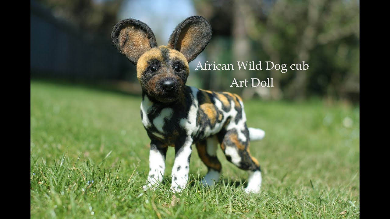 African Wild Dog cub Art Doll tutorial - YouTube