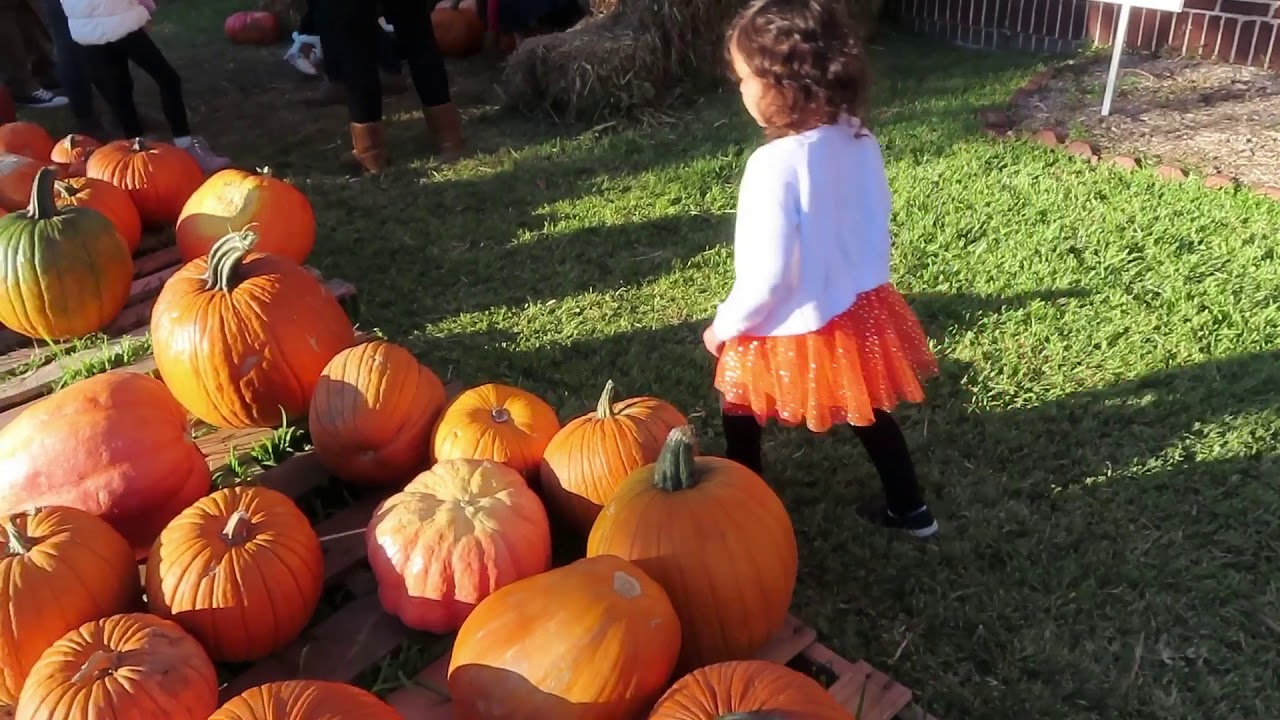 Our Saturday Adventure! - YouTube