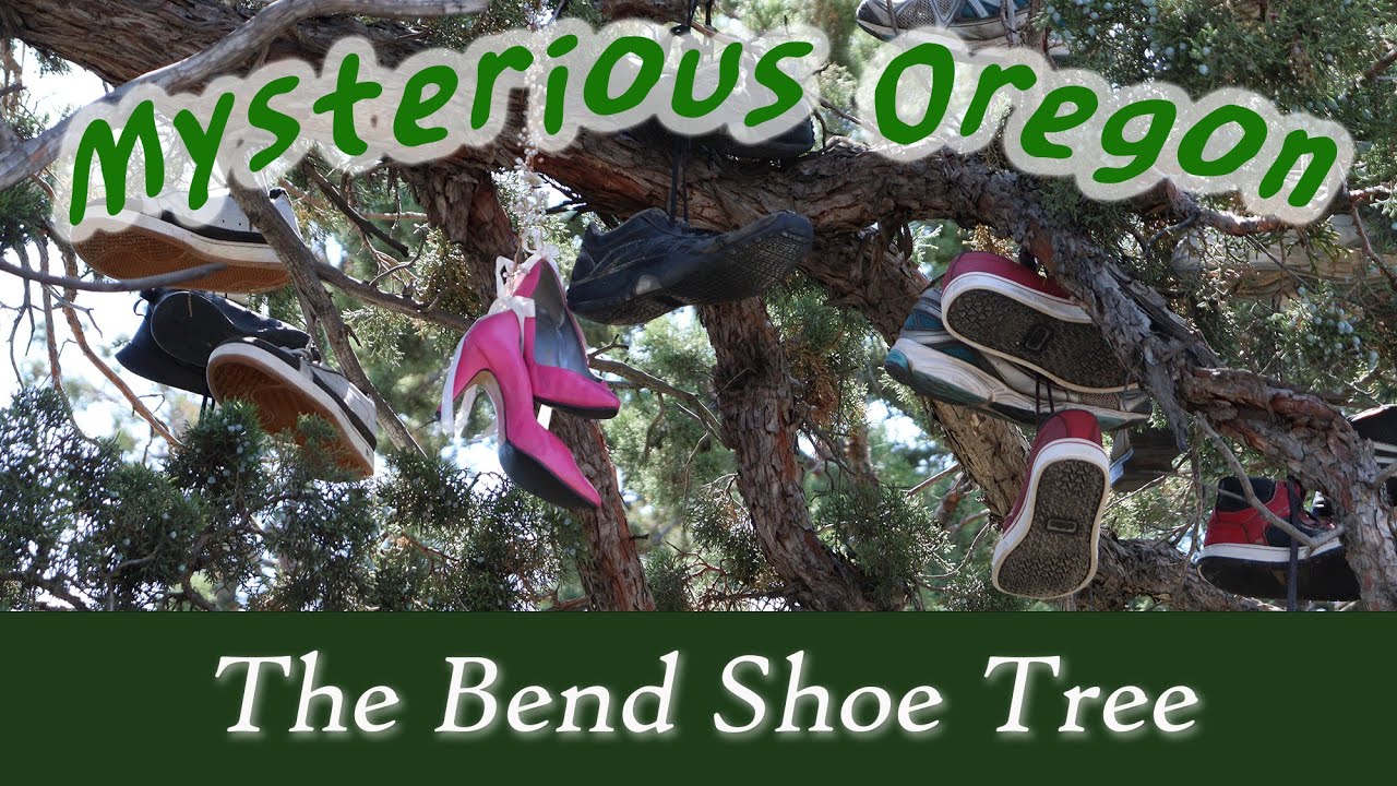 Bend Oregon Shoe Tree - Strange and Mysterious PNW Landmarks! - YouTube