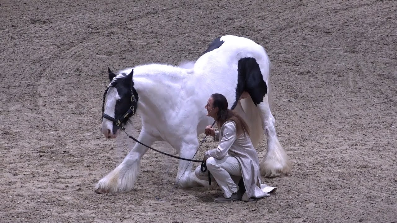 FREDERIC PIGNON & MAGALI DELGADO live --- EQUITANA --- März 2023 - YouTube