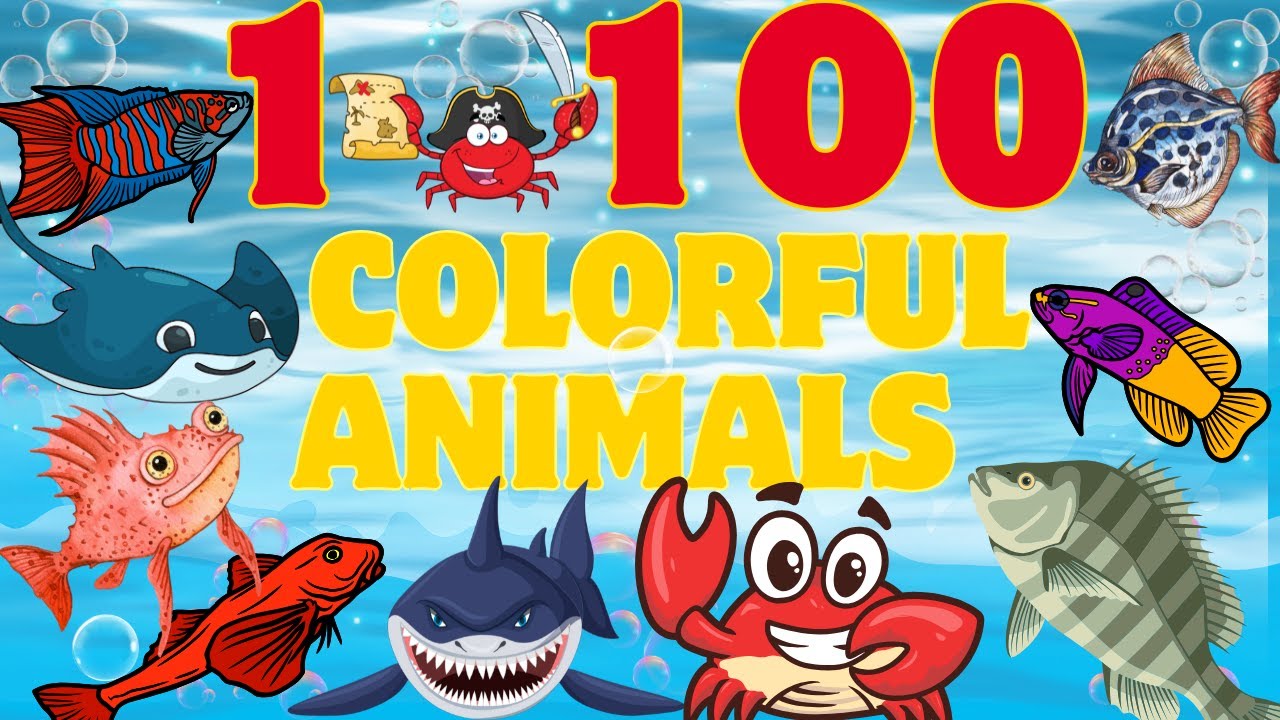 Learn Numbers 1–100 with Adorable Sea Animals 🐠 | Final Counting ...