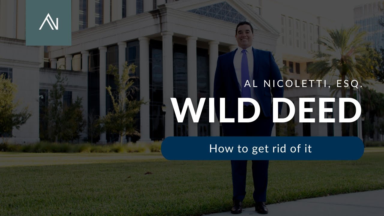 WILD DEEDS - YouTube