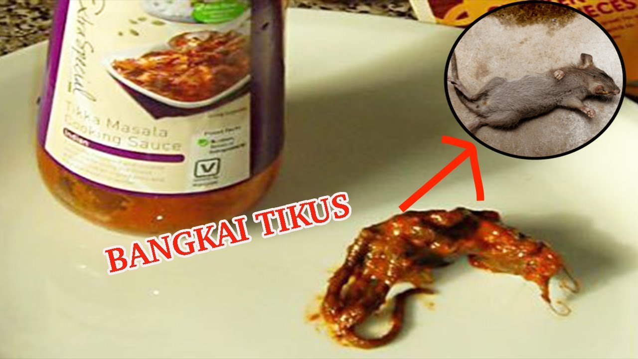 Ada bangkai tikus dalam saus!!! inilah 10 Benda MENJIJIKAN yang ...