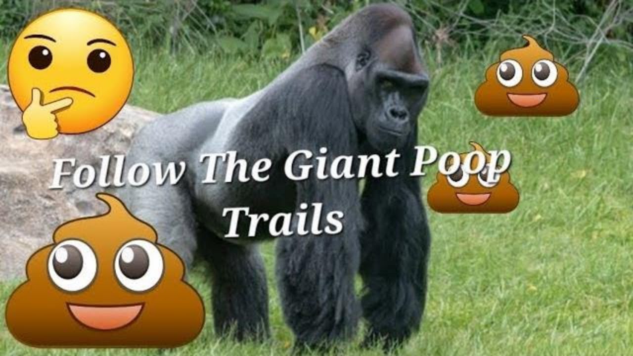 Uncovering the Mystery: Who's Responsible for This Poo?! Edition - YouTube