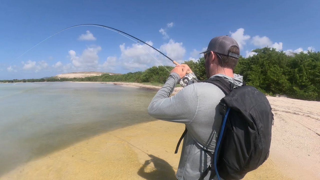 FLY FISHING THE FLATS OF ST. CROIX | BIG SNOOK ️ - YouTube